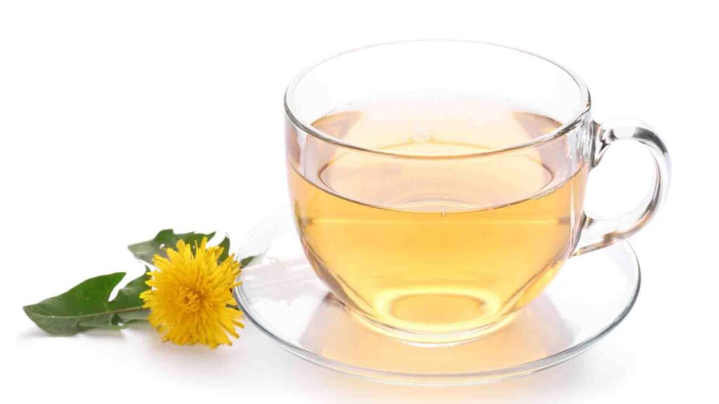 Different Types of Tea and Their Health Benefits