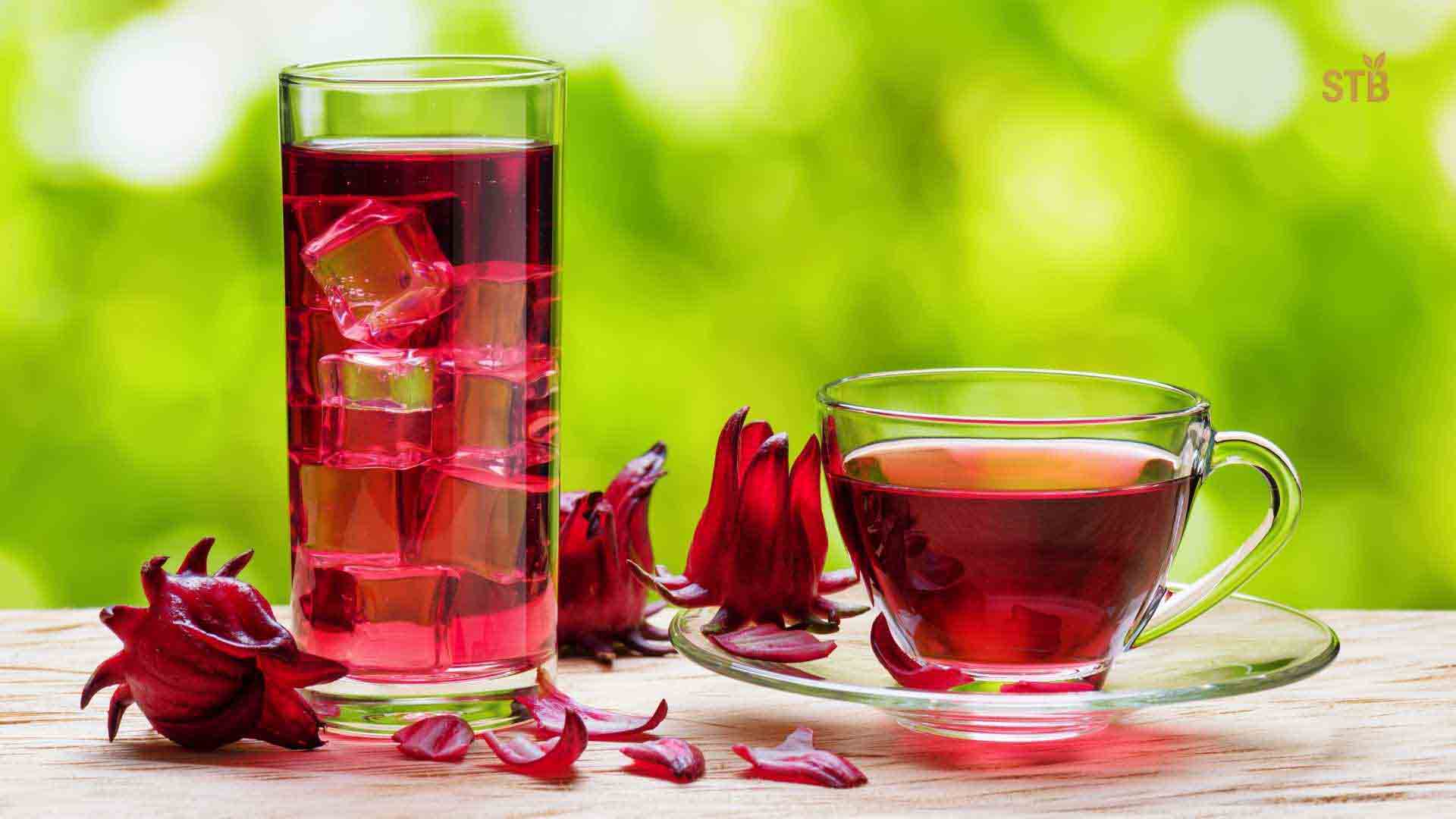 The Ruby Brew: Rosella Tea Health Secrets